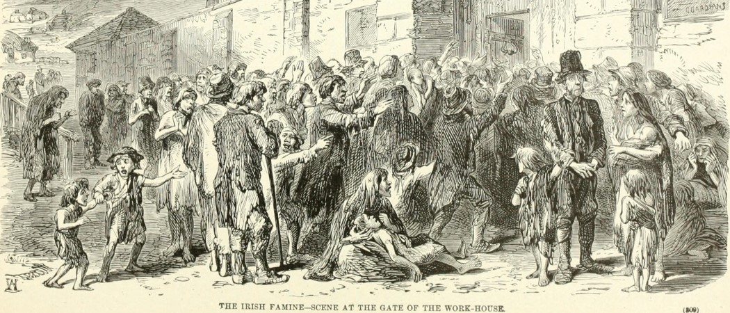 Irish Potato Famine 1845