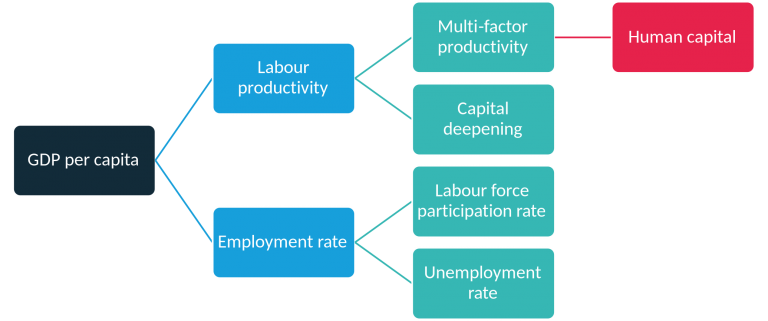 Which investments in human capital will boost productivity growth ...