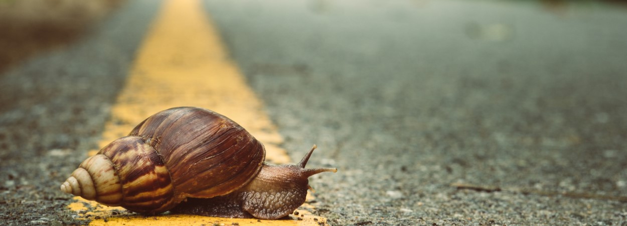 Slow growing - Economics Observatory