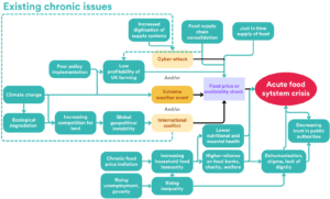 How vulnerable is the UK’s food system? - Economics Observatory